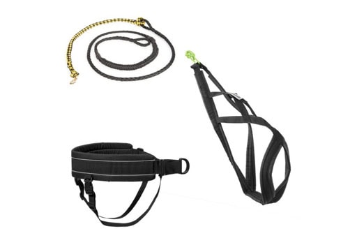 El Mushing - Club Mushing Arroyo